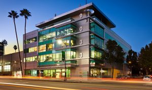 Dr. Solomon - Mark P. Solomon MD