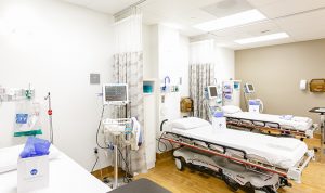 Dr. Solomon - Mark P. Solomon MD